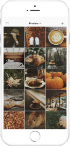 Fall Instagram Theme Ideas (6 Filters)