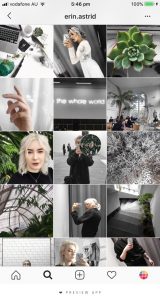 21 Instagram Theme Ideas using Preview App (+ Editing Tips)