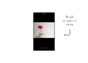 The Easiest Way to Make a White Background for Instagram Photos