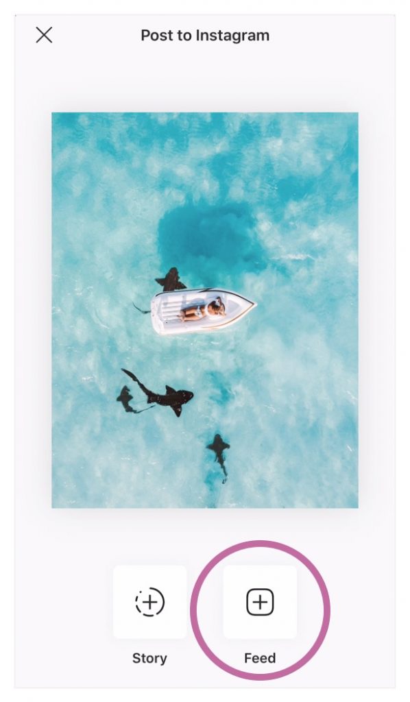 How to AUTOMATICALLY Add Line Break in Instagram Caption?