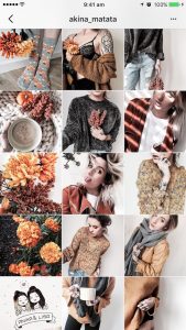 Fall Instagram Theme ideas using Preview App (inspiration + filters)