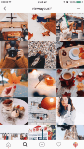 Fall Instagram Theme ideas using Preview App (inspiration + filters)