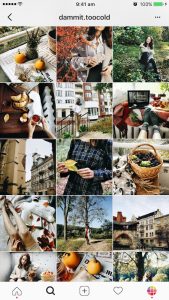Fall Instagram Theme ideas using Preview App (inspiration + filters)