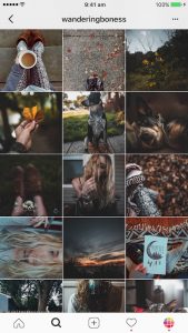 Fall Instagram Theme ideas using Preview App (inspiration + filters)