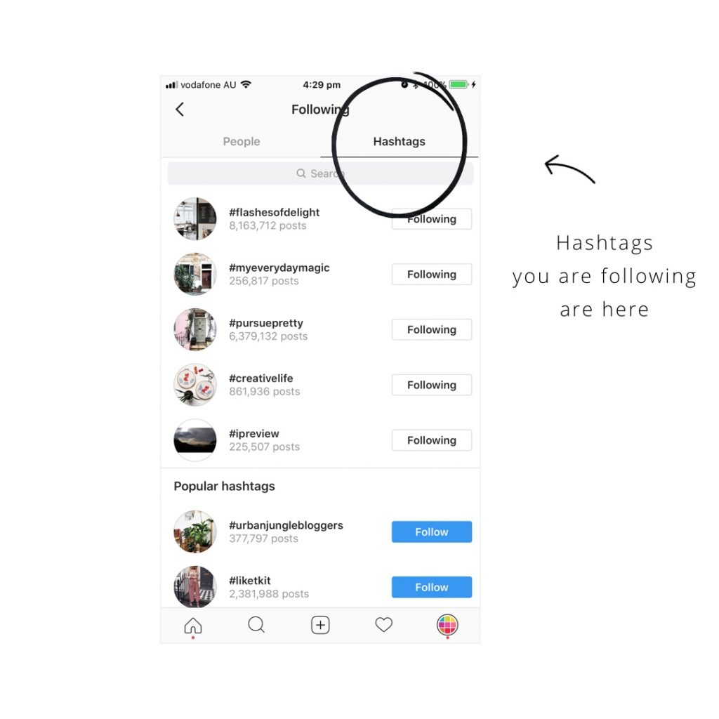 What happens after you follow an Instagram hashtag? - Preview App
