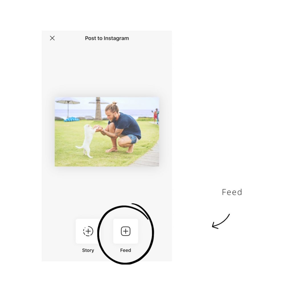 How to Schedule Multiple Photos in One Post (using Preview app)