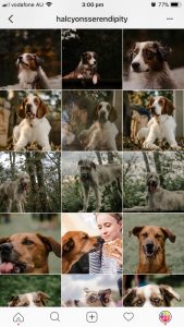 9 Types of Instagram Grid Layouts (Planner + Tips)