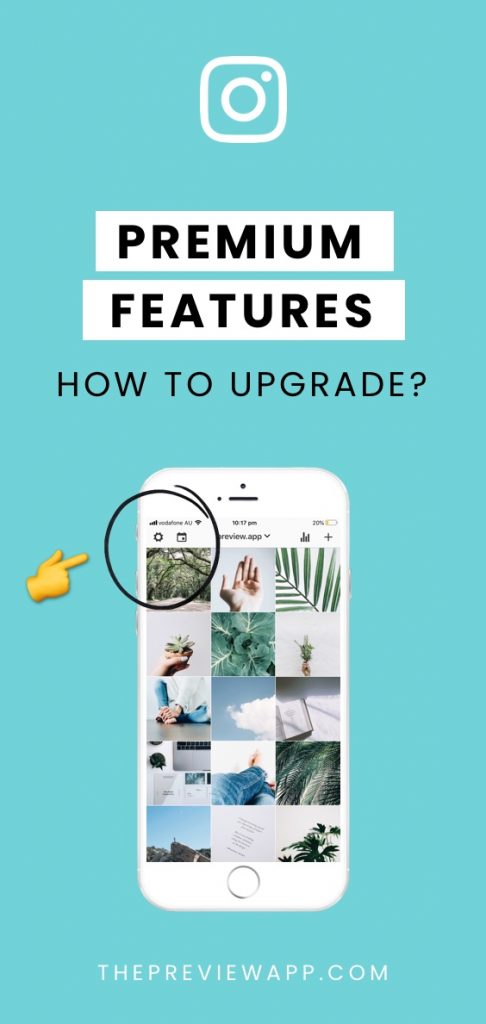 How to Upgrade to a Premium Plan on Preview?