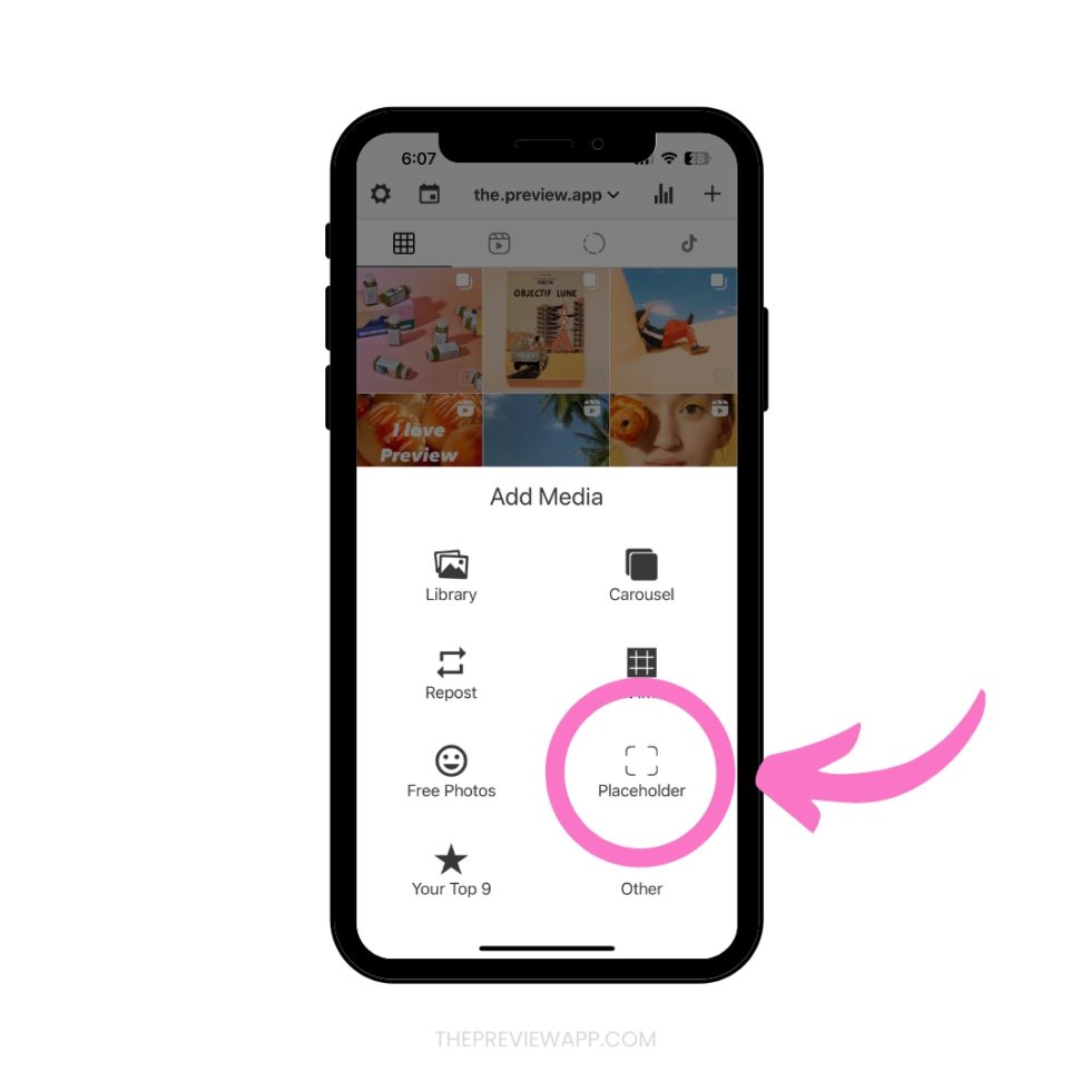 How to Show Posted Instagram Reels and IGTVs in Preview Feed?