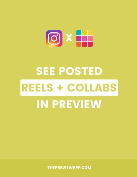 How to Show Posted Instagram Reels and IGTVs in Preview Feed?