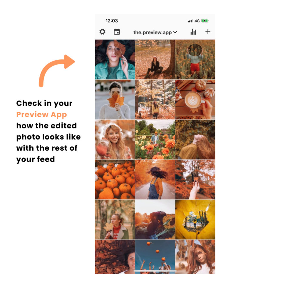 Fall Filters for Instagram (One-Click Transformations)