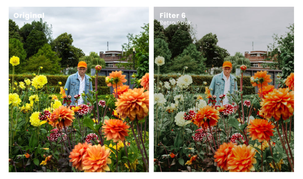 Fall Filters for Instagram (One-Click Transformations)