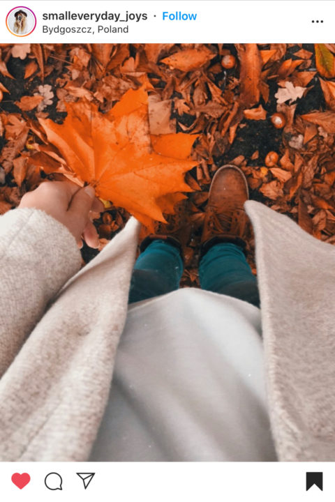 Best Instagram Fall Photo Ideas (inspiration + filters)