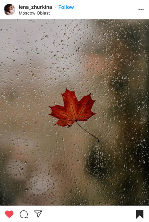 Best Instagram Fall Photo Ideas (inspiration + filters)