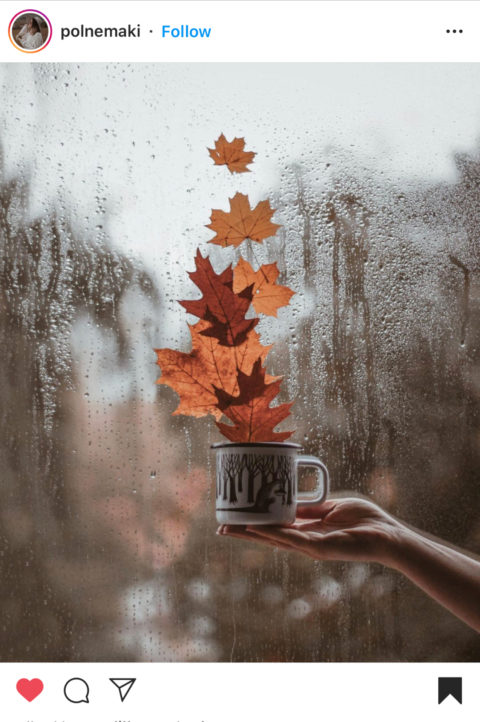 Best Instagram Fall Photo Ideas (inspiration + filters)
