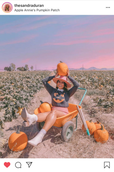Best Instagram Fall Photo Ideas (inspiration + filters)