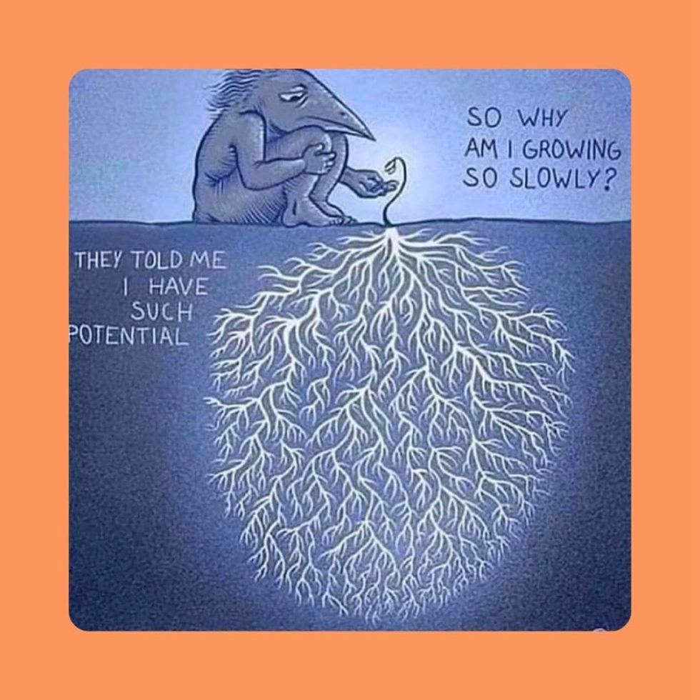 The Instagram Algorithm Finally Revealed (How it works in 2022)