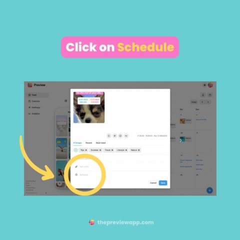 How to Auto-Post Instagram Stories with Preview (App & Desktop)