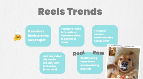 6 Instagram Trends for 2024 - Preview App