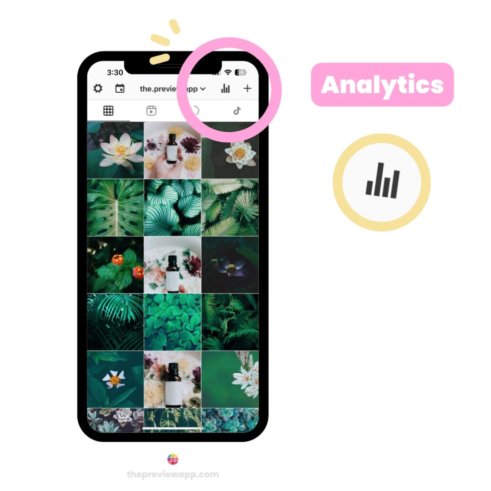 Instagram Hashtags for Eco-friendly & Sustainable Brands (2024 Strategy)