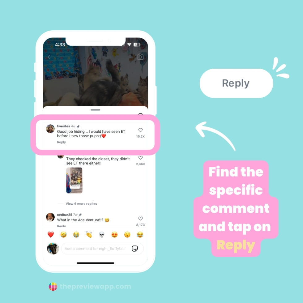 How to Share Someone's Comment in your Reels