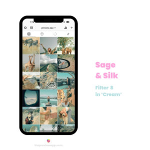 Ultimate Guide to Aesthetic Instagram Feed Ideas (2025) - Preview App