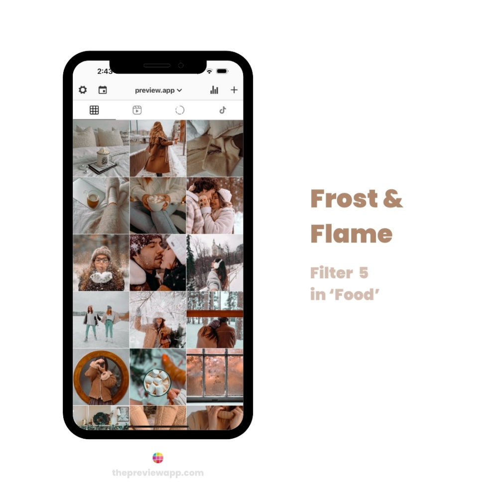 Winter Filters to Transform Your Instagram Feed Into Wonderland - Preview App